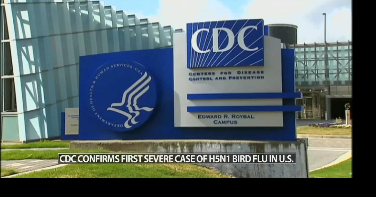 CDC confirms first case of severe bird flu in Louisiana | Wdrb-video ...