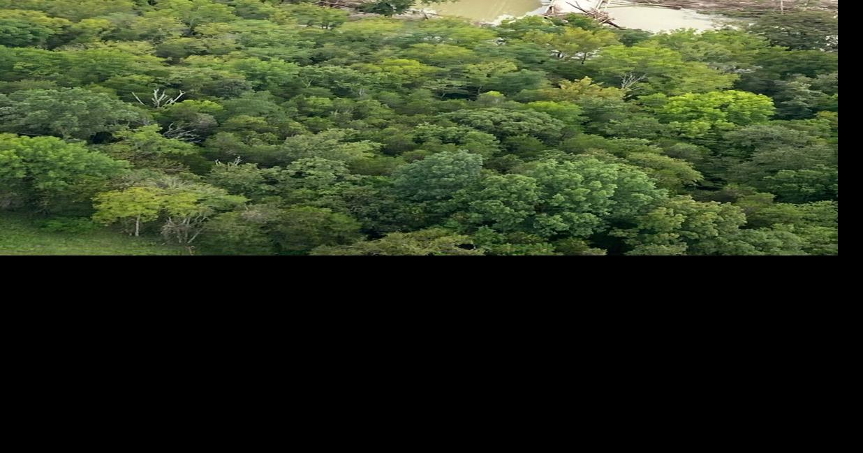 Elderly woman's body found downstream after flash flooding in southern ...