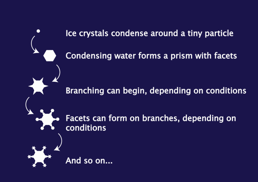 SNOW SHAPES: How Do Snowflakes Form? | Weather Blog | wdrb.com