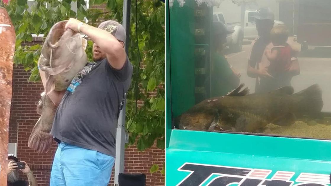 Man catches massive 85-pound catfish with his bare hands | National ...
