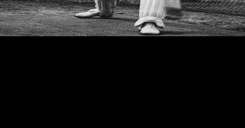 Harry at Cricket Practice | | wdrb.com