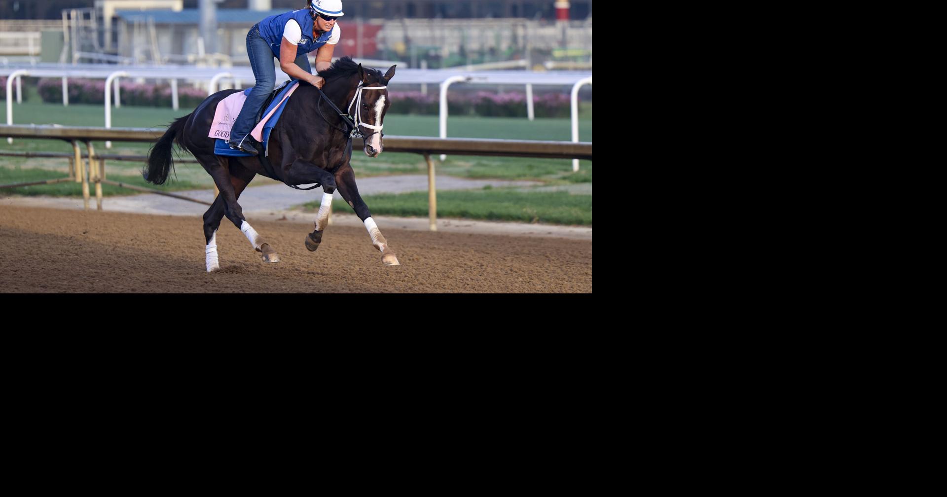Brad Cox-trained Good Cheer, heavy 6-5 morning line favorite in ...