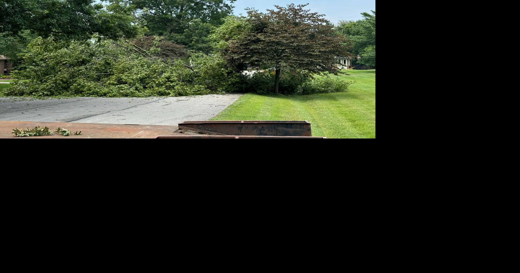 Strong winds damage trees, property off US 42 in Goshen | Local News ...