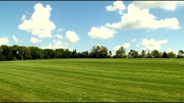 Why is Kentucky called the Bluegrass State? | News | wdrb.com