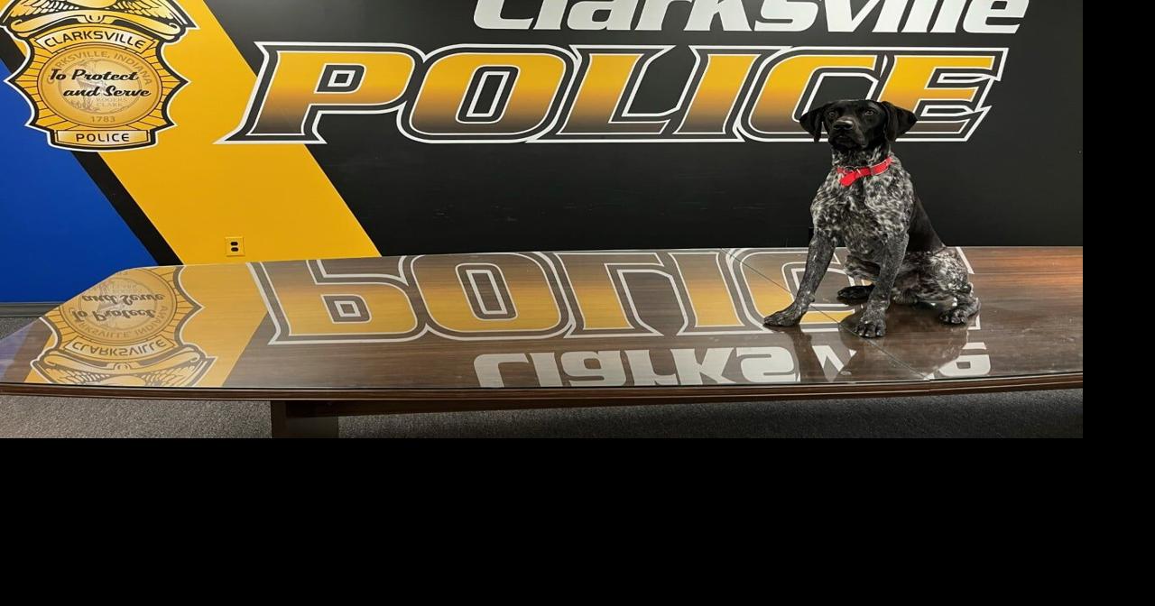 Clarksville Police Department adds new K-9 officer to its force | Local ...