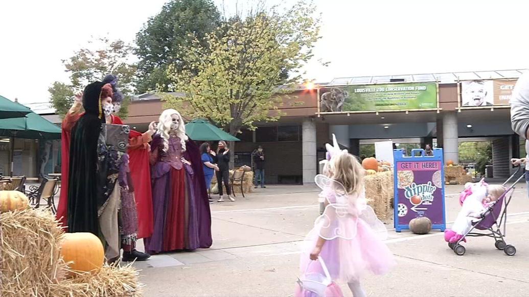 Cast members needed for 'Boo at the Zoo' | Community events | wdrb.com