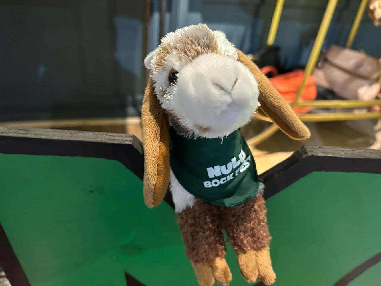 Goats and beer keep the crowds entertained at the annual NuLu Bock Fest ...