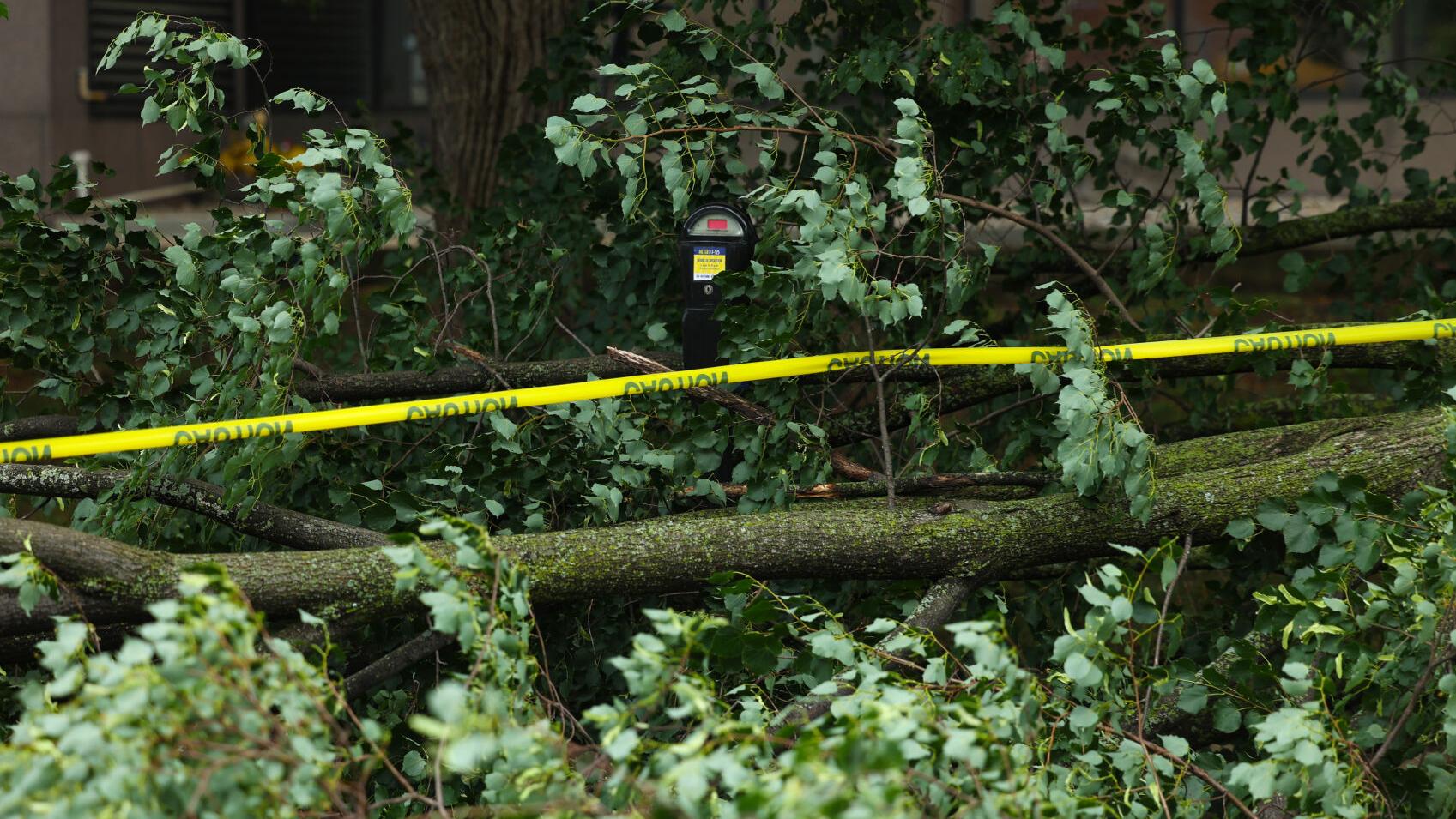 Louisville residents can drop-off tree debris for free at 8 sites ...