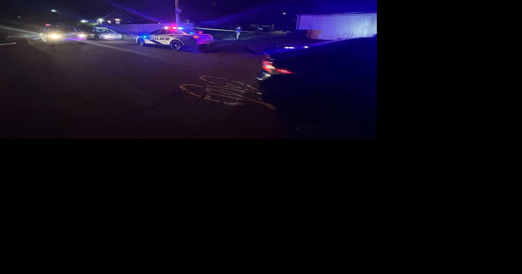 1 teenager dead, another hurt after shooting in Taylor Berry ...