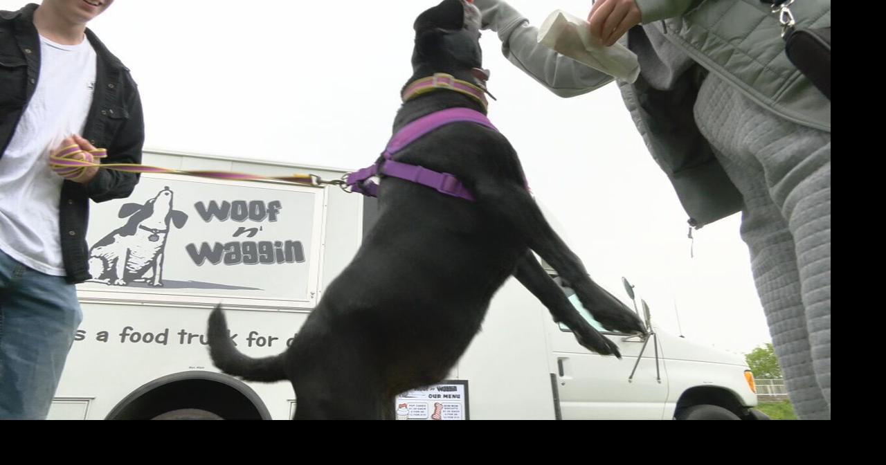 Monthly 'Bark and Brunch by the Bridge' series returns to Waterfront ...