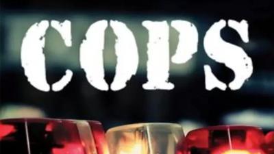 'Cops' won't return after 32 seasons in wake of protests, network says ...