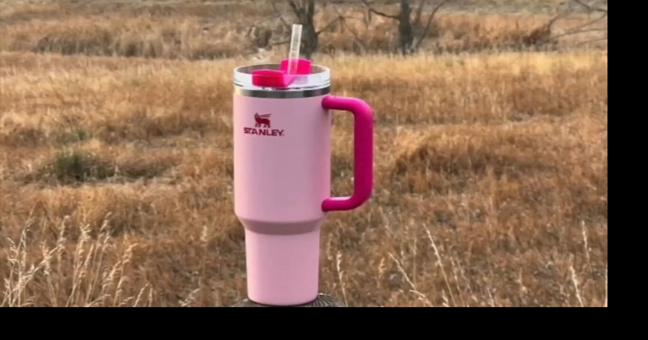Don't waste your money | Warning about Stanley drinking cup scams ...