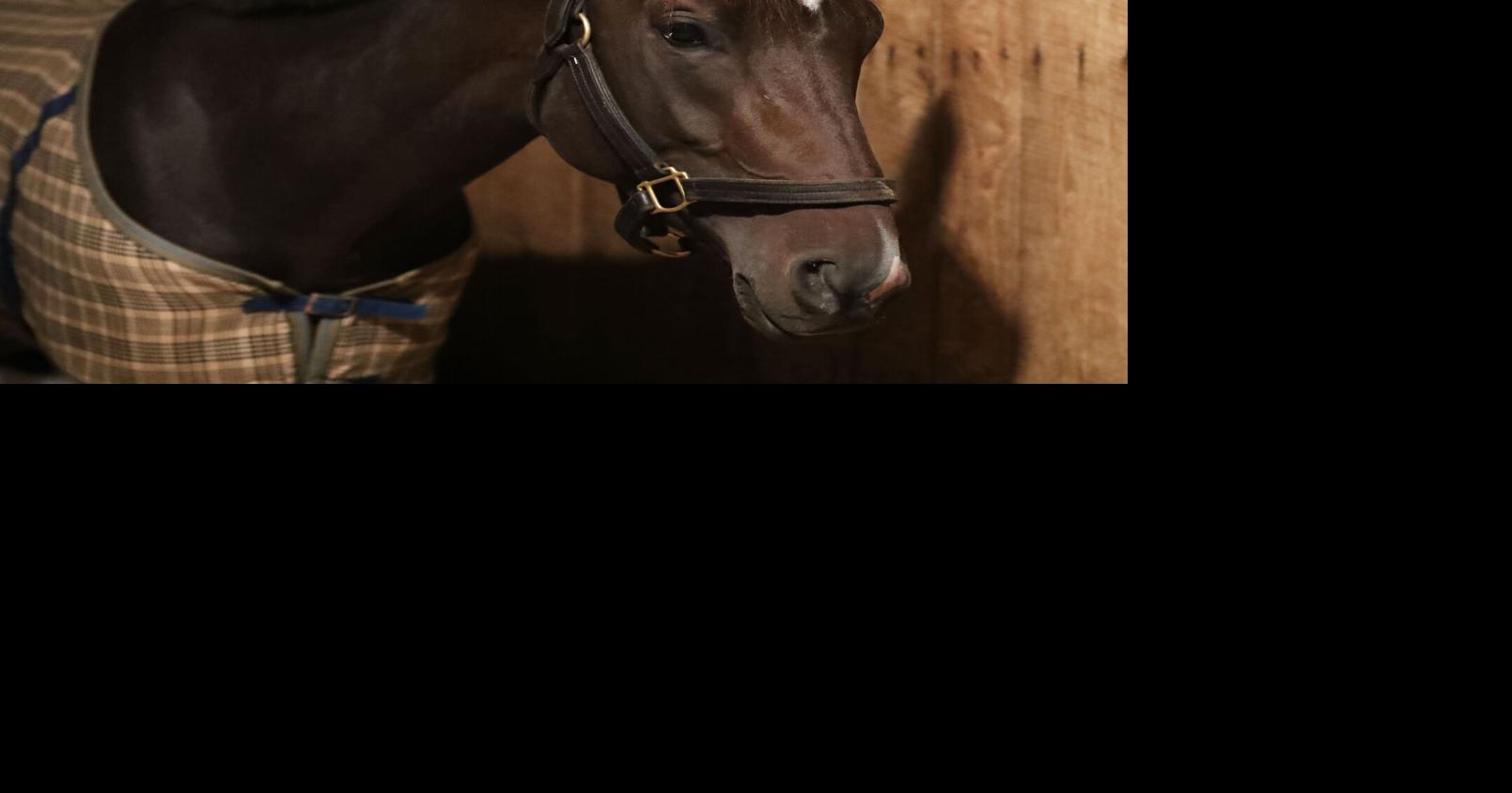 Kentucky Derby favorite Forte arrives in Louisville to train at ...