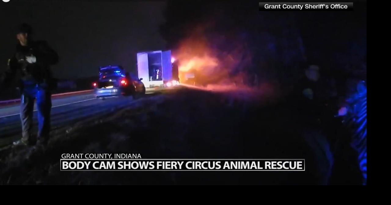 Police body cam shows fiery circus animal rescue | | wdrb.com