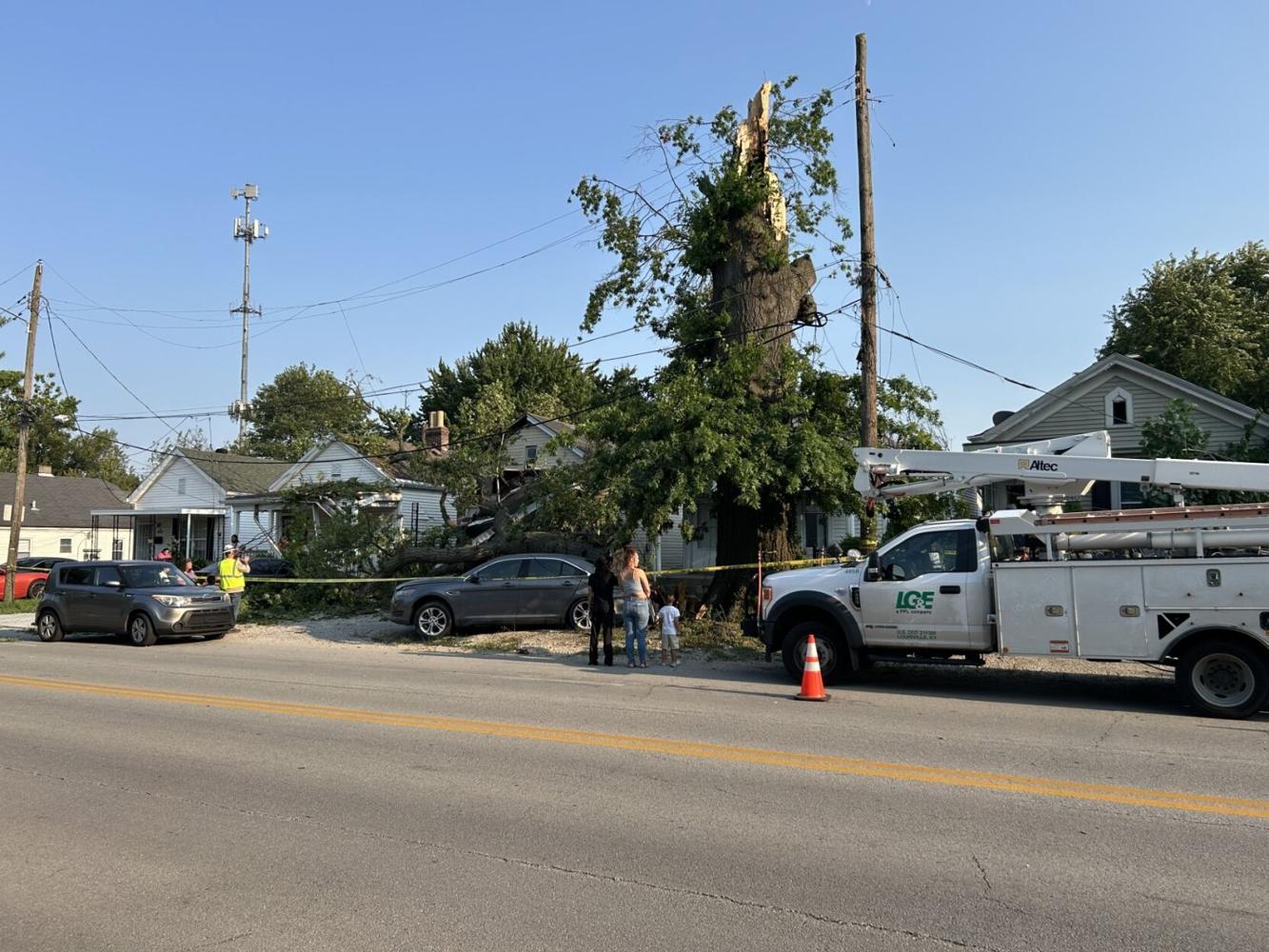 No one injured after large tree falls on 6 homes in Louisville's ...