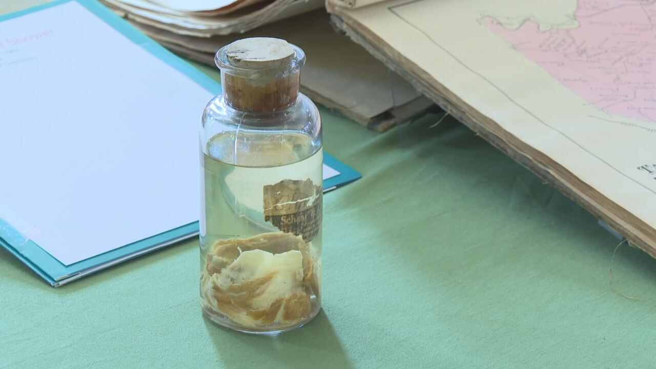 Eastern Kentucky's 'meat shower' continues to baffle scientists 149 ...