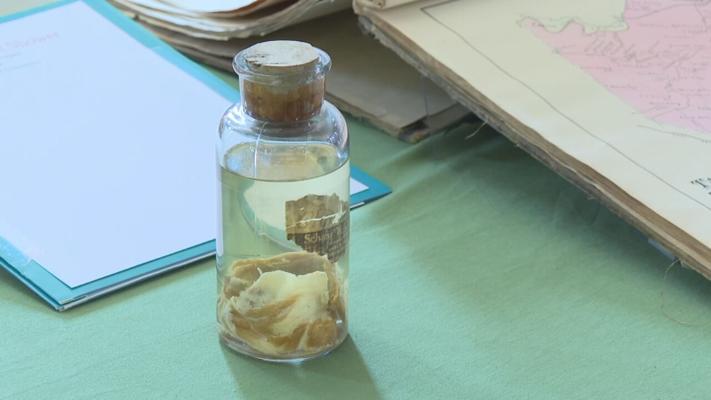 Eastern Kentucky's 'meat shower' continues to baffle scientists 149 ...