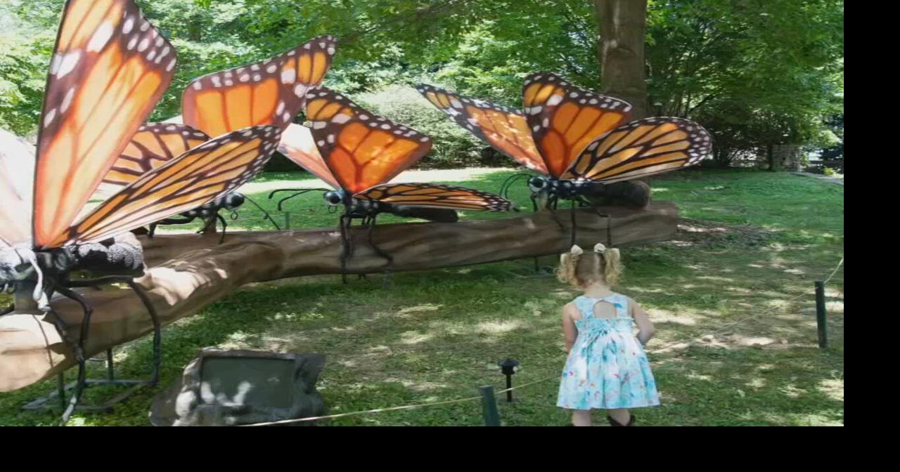'IncrediBUGS' exhibit at Louisville Zoo displays 18 giant animatronic ...
