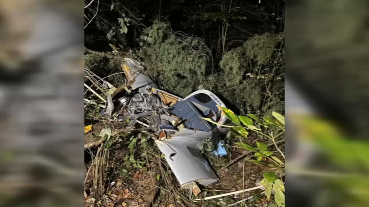Pilot survives small plane crash in southern Indiana woods | Local News ...