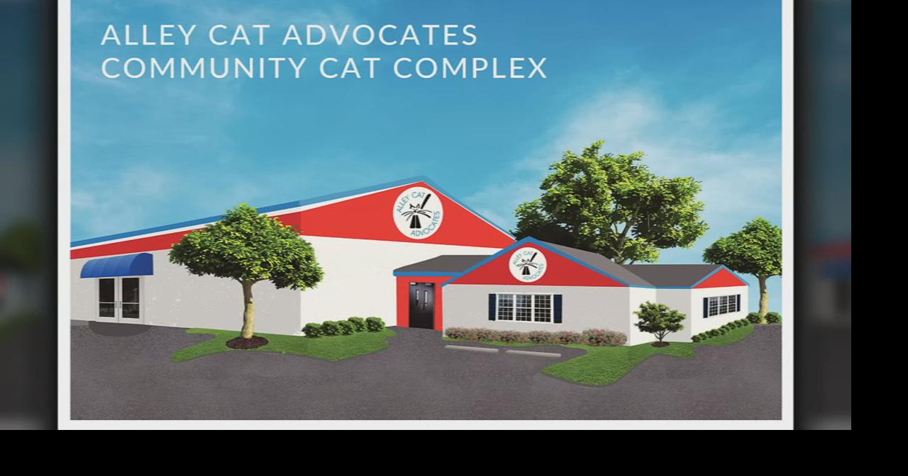 Alley Cat Advocates raising money for new building on city land | Local ...