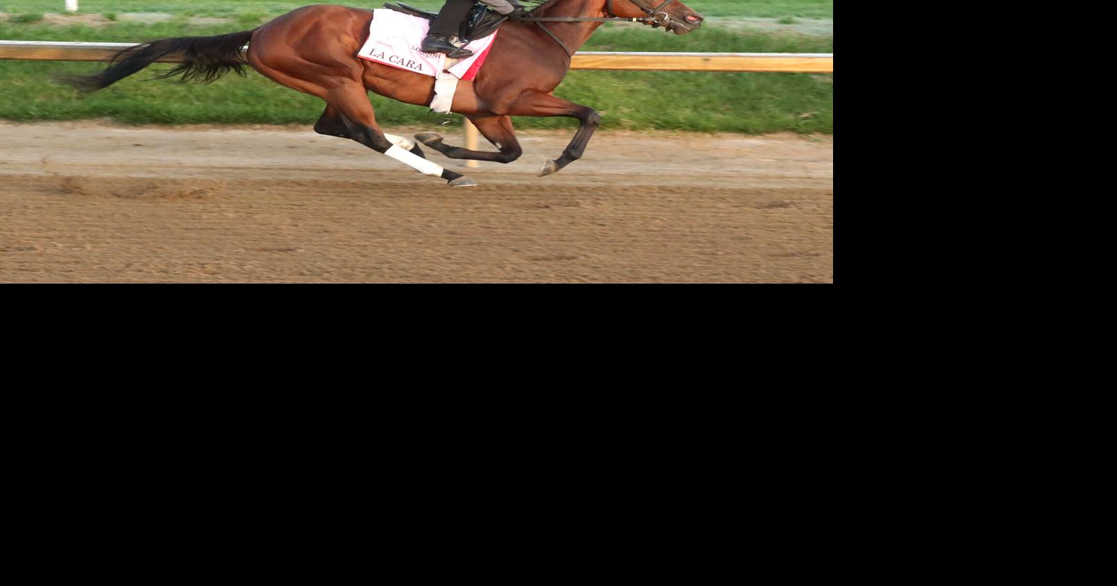 Derby Daily | Insight on horses, trainers and connections for Kentucky ...