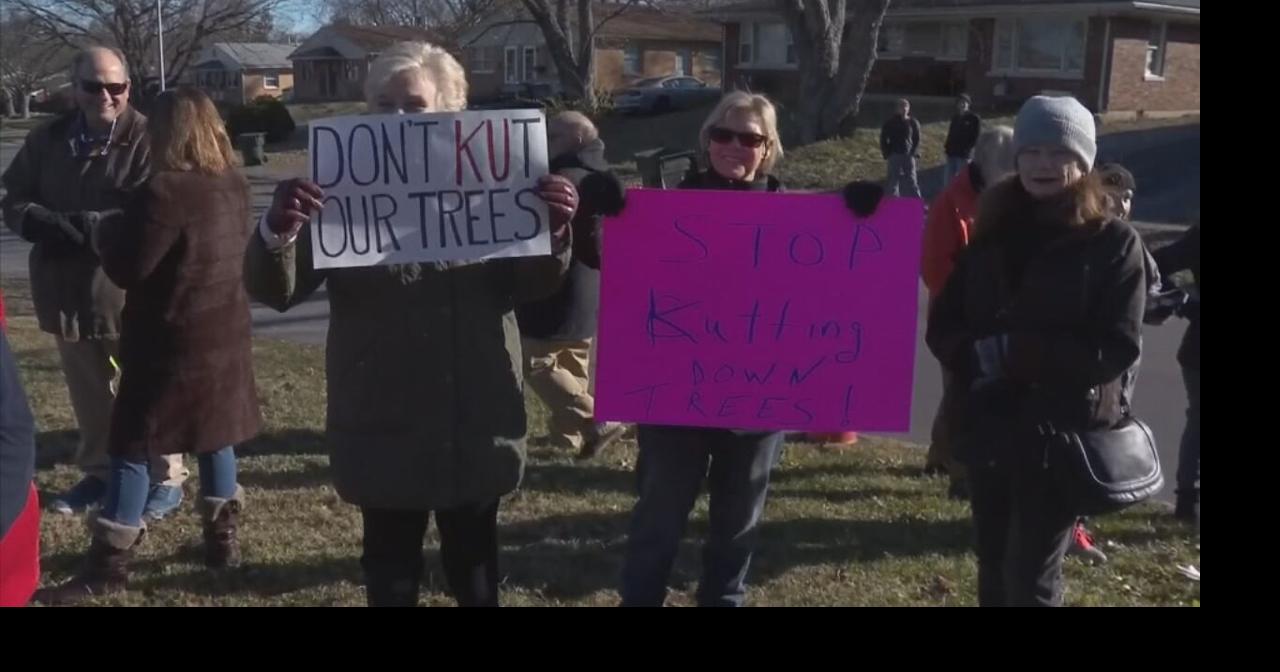 Group protests removal of trees in Lexington | Local News | wdrb.com