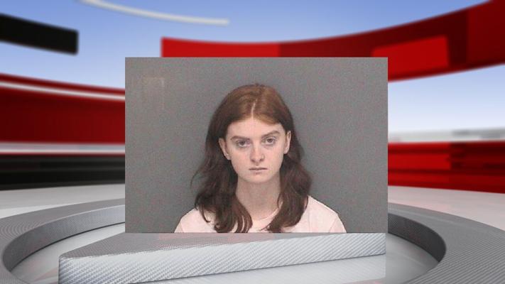 Indiana teen arrested for alleged Valentine's Day school shooting plot ...