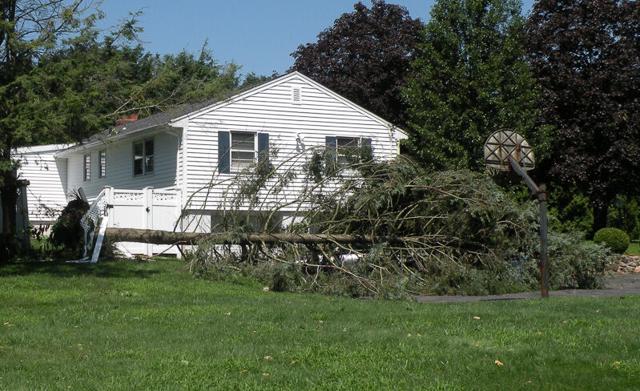 THUNDERSTORMS: From Squall Lines To Supercells, The 9 Different Types ...