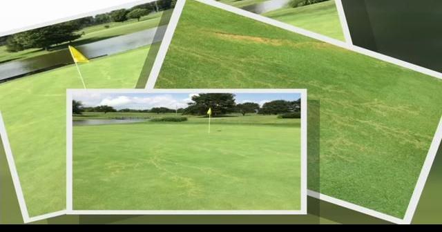Lightning strikes golf course, leaves behind 'impressive' design | News ...