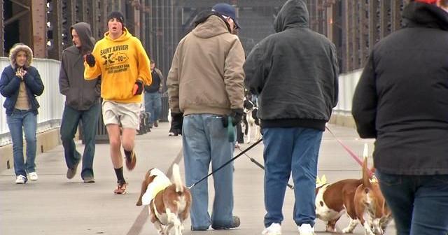 "Poop problems" on bridge draws rally of pet owners | Local News | wdrb.com