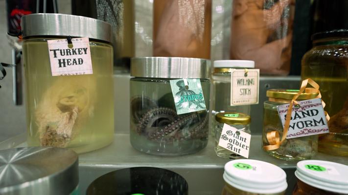 Oddities and Curiosities Expo in Louisville highlights strange, unusual ...