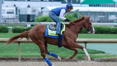 Meet the 2019 Kentucky Derby horses: Improbable | Meet-the-horses ...