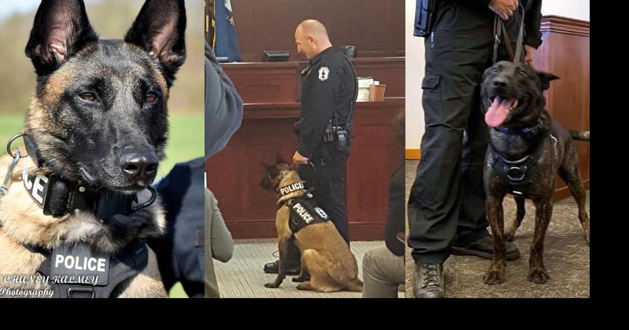 Shelbyville police swear in new K-9; LMPD gets protective vest for K-9 ...
