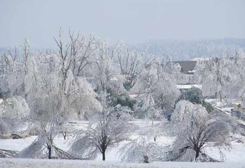 10 Years Later: Remembering the 2009 Ice Storm | Weather Blog | wdrb.com