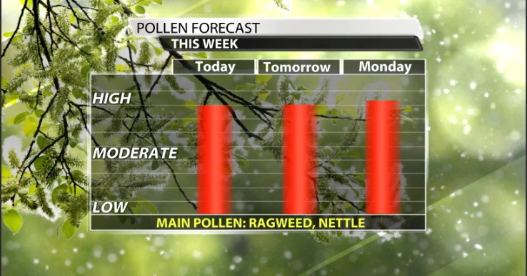 Pollen counts to soar this week | Weather Blog | wdrb.com