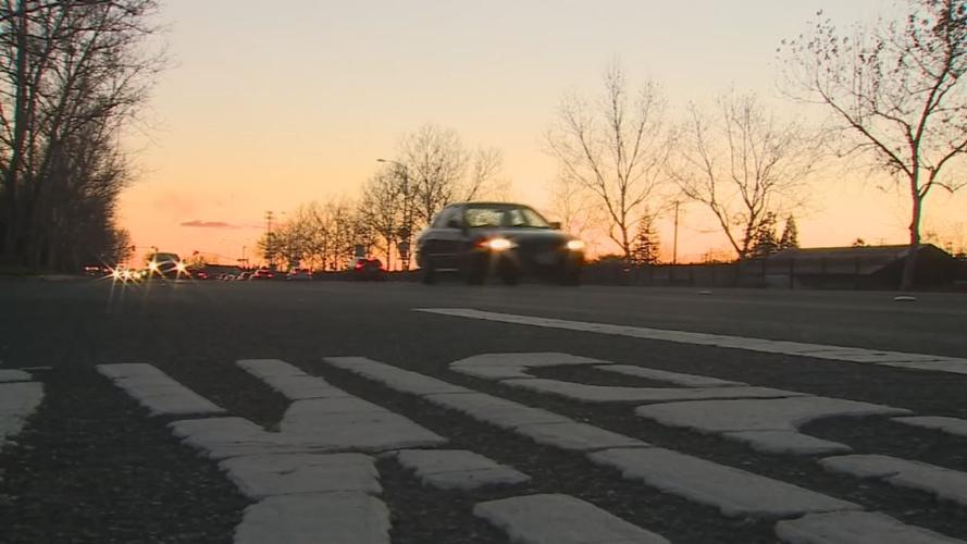 Proposal would make it legal to eat roadkill in California | Local News ...