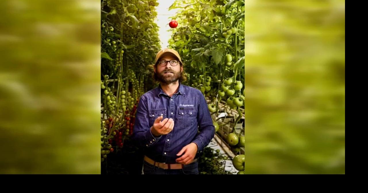 AppHarvest founder out as CEO | Wdrb-video | wdrb.com