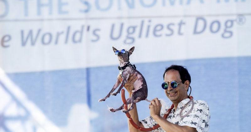 Dane Andrew holds Rascal aloft | | wdrb.com