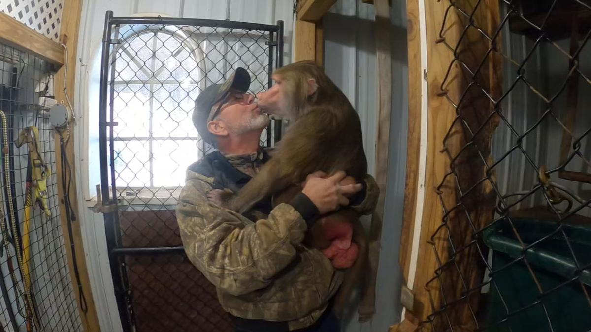 Judge allows Indianapolis Zoological Society to take animals from ...