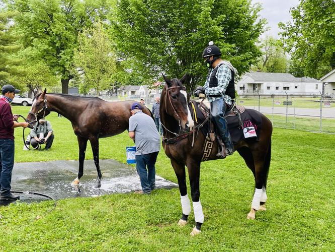 BOZICH | Hot Rod Charlie racing toward Best Kentucky Derby Story ...