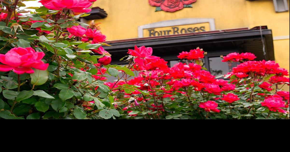 Four Roses investing $23 million to build 17 new warehouses in Nelson ...