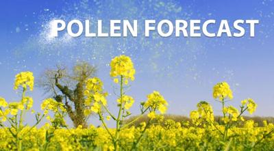 Spring Growing Season May Start Early | Weather Blog | wdrb.com