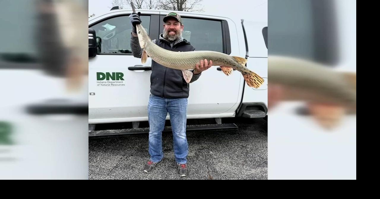 Southern Indiana man sets record for longnose gar caught on Ohio River ...