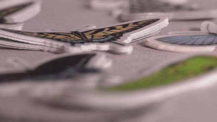 Louisville brandy distillery hosts event that focuses on butterflies ...