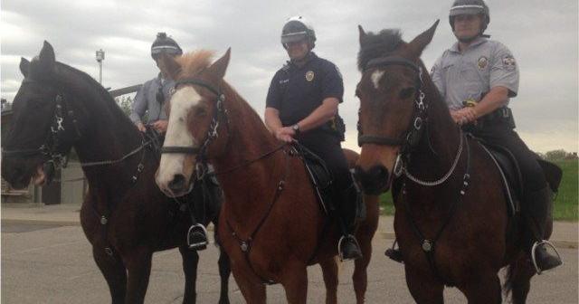 LMPD mounted officers explain advantages to patrolling on horseback ...