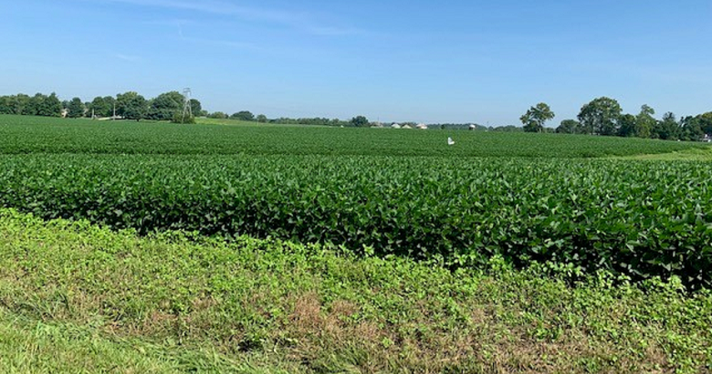 600-acre Shadow Lake development in Charlestown could generate $50 ...