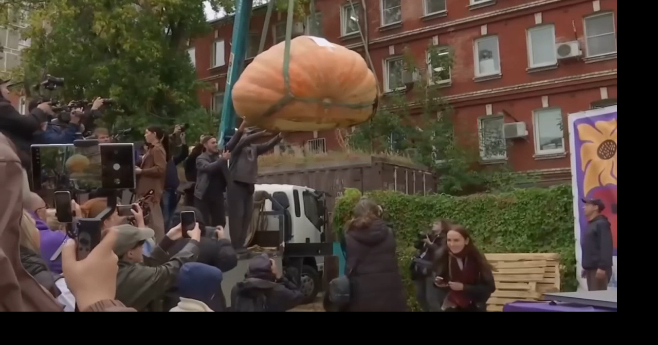Giant 2,000-pound pumpkin sets record in Moscow vegetable contest ...