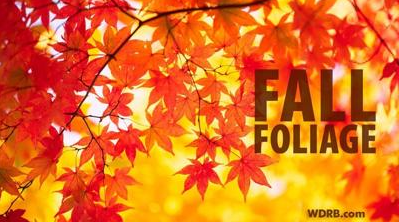 FALL FOLIAGE 2023: When Colors Peak In Our Area.. | Weather Blog | wdrb.com