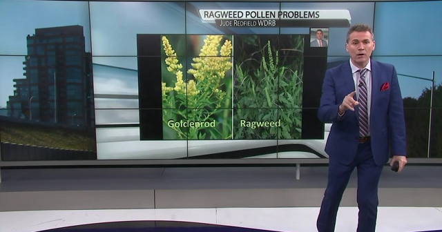 Jude Redfield's Pollen Report | Allergies | wdrb.com