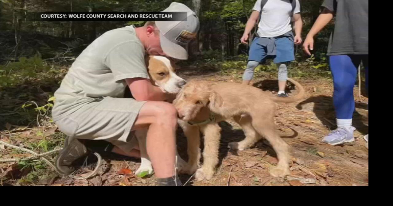 Dog survives 100-foot fall, rescued at Red River Gorge | Local News ...